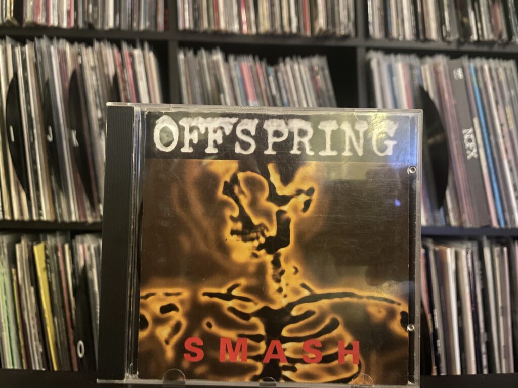 The quest for the best skatepunk albums - Punk Records